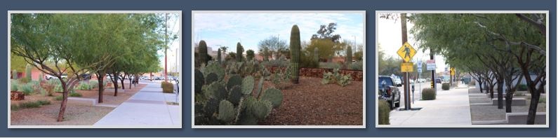 Toole Avenue Complete Streets Project Congress Street to Stone Avenue ...